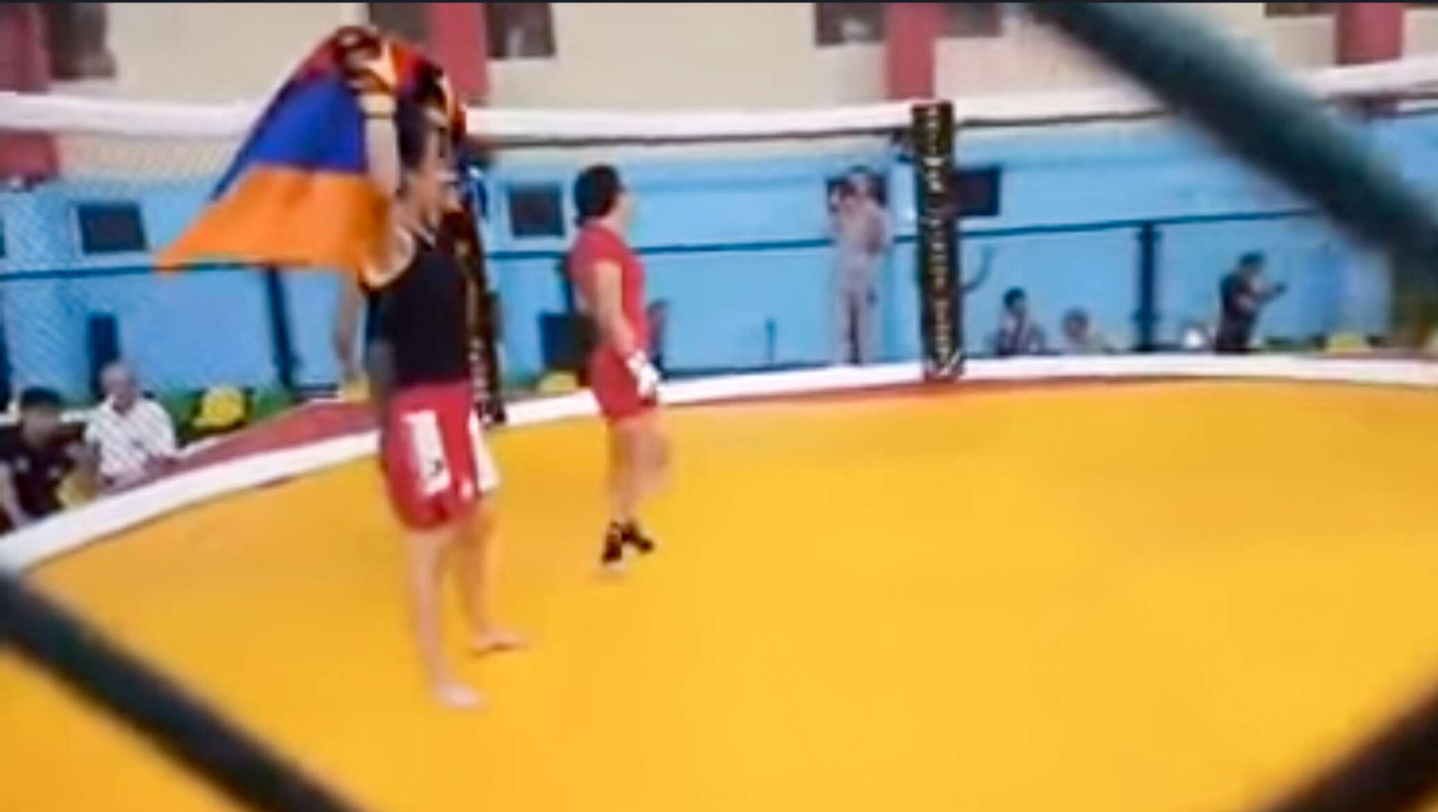 Армянская спортсменка разгромила в бою сестру Рамиля Сафарова – видео