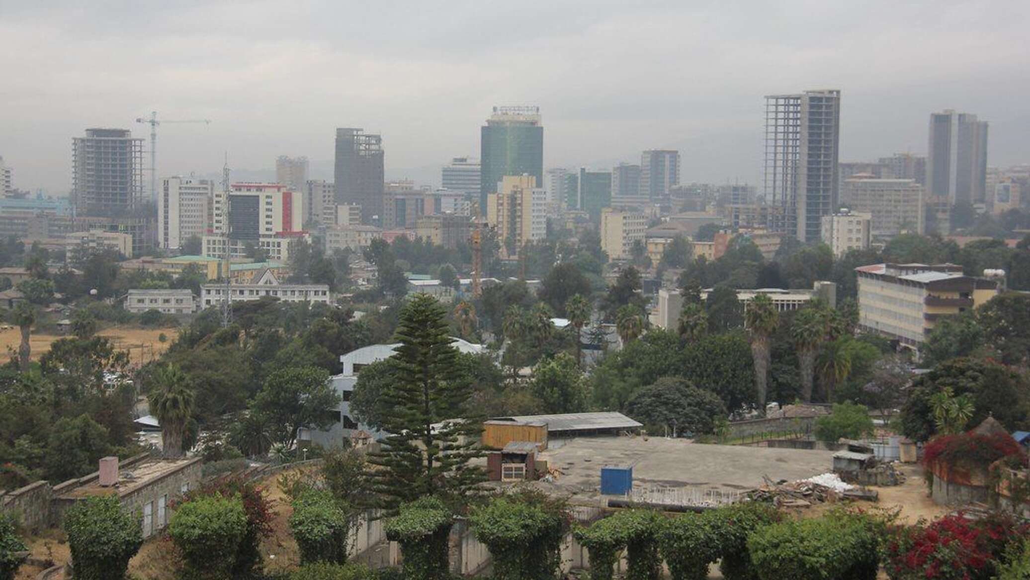 Правозащитники заявили об убийствах эфиопских беженцев саудовскими ...